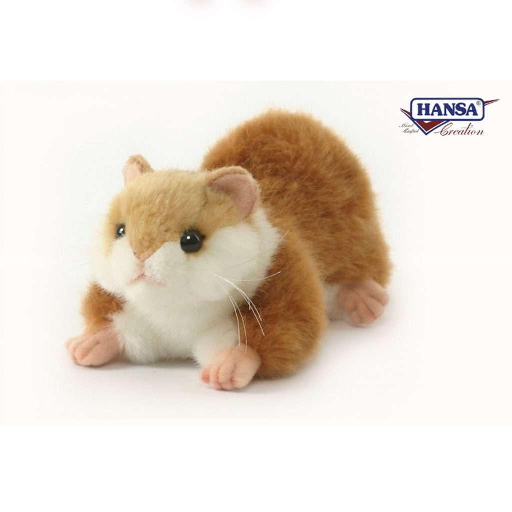 Hamster ⋅ Hansa - Mary Shortle