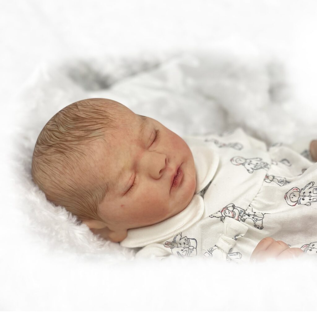 Reborn - Mary Shortle